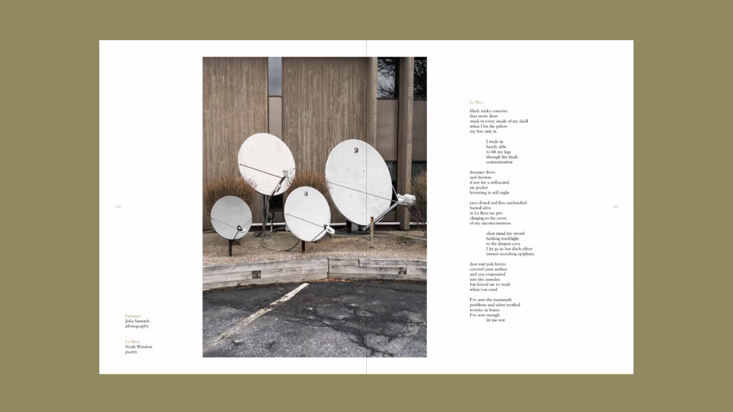 Dasha Buduchina – Multidisciplinary Designer