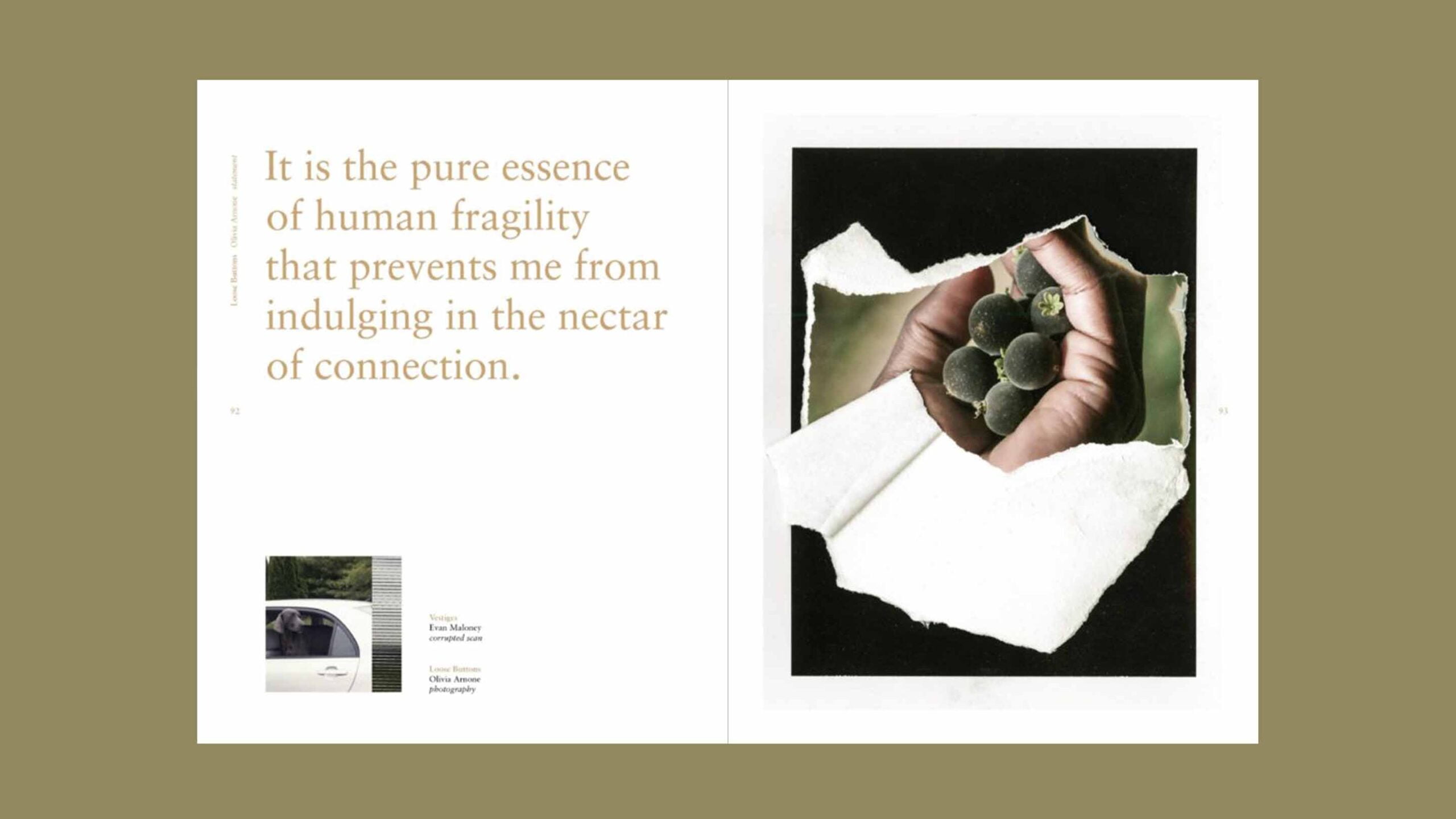 Dasha Buduchina – Multidisciplinary Designer