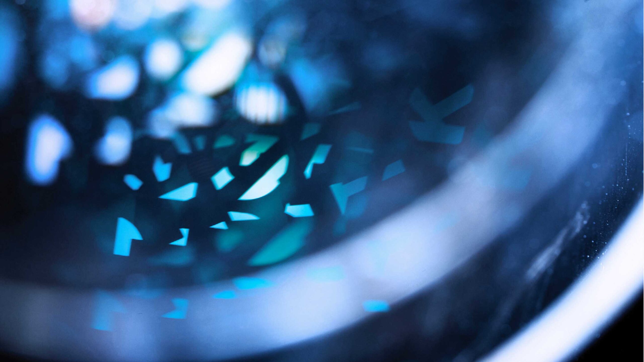 Dasha Buduchina – Multidisciplinary Designer