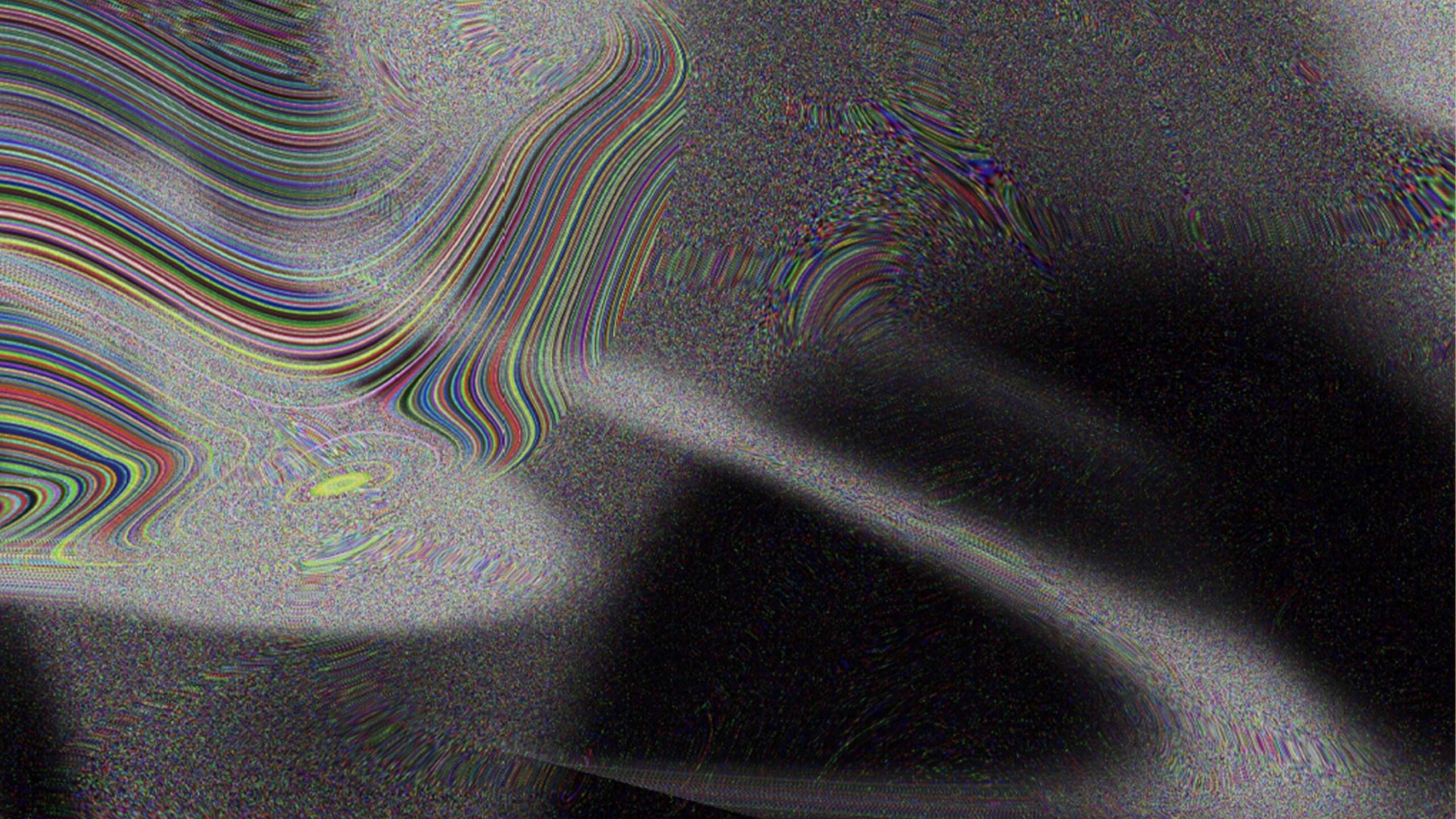 Dasha Buduchina – Multidisciplinary Designer