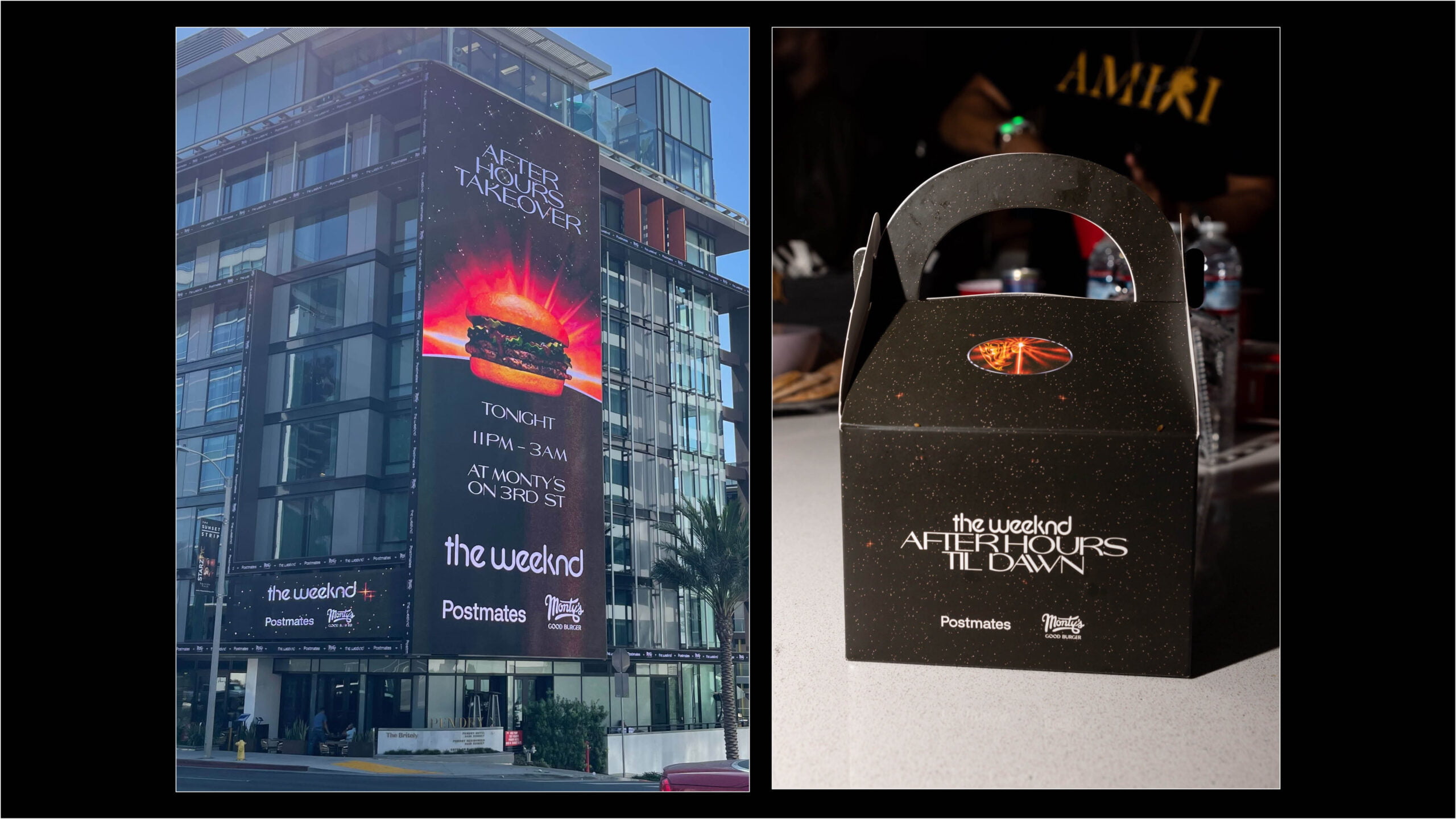 Dasha Buduchina – Multidisciplinary Designer